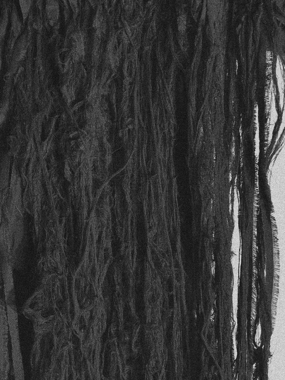 Peter Citroni | New Contemporaries 2022