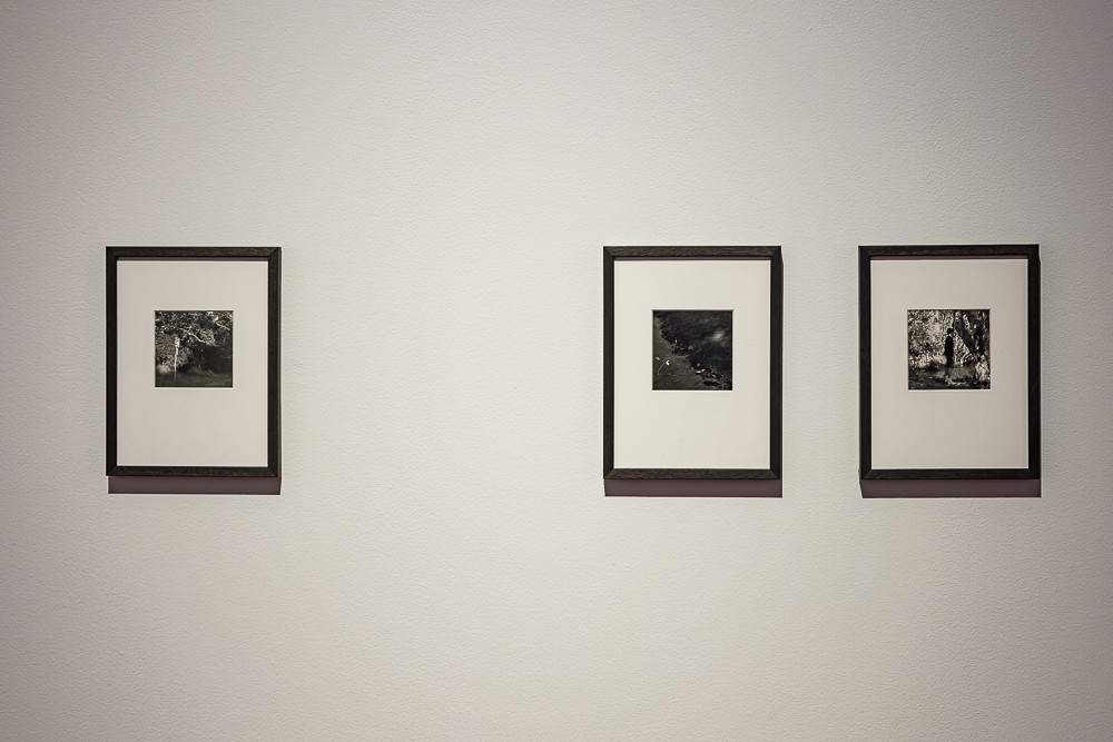 Ella van Dort - Gilmore | SCA New Contemporaries 2024